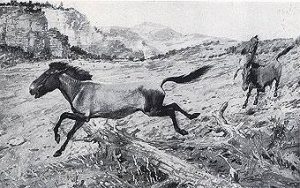 Extinct Mammals | The Ivory Bill