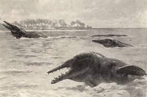 Extinct Predators of the Seas and Swamps - The Ivory Bill