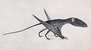 The Pterodactyls | The Ivory Bill